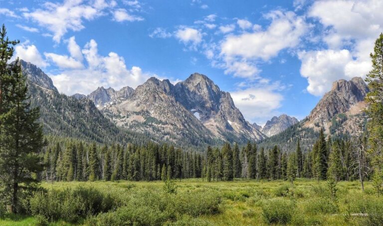 AWHONN Idaho Section
